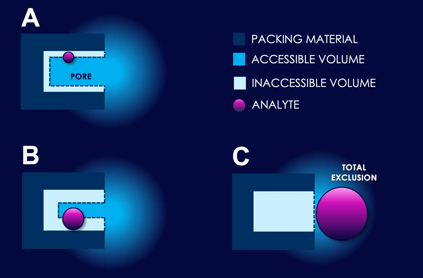 Size-exclusion chromatography - Analytical Separation Science ...